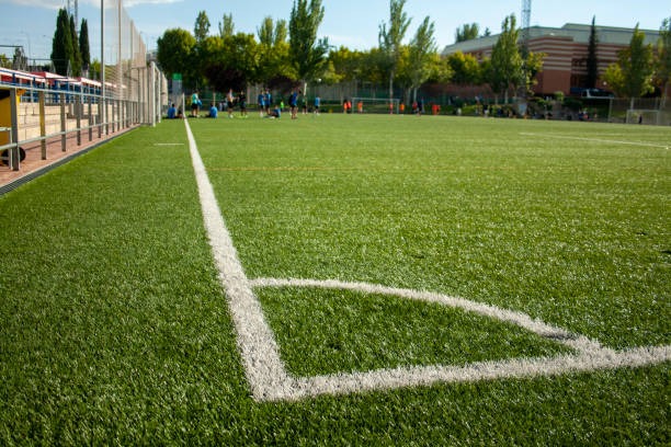 Artificial Turf: Components, Types, and Uses